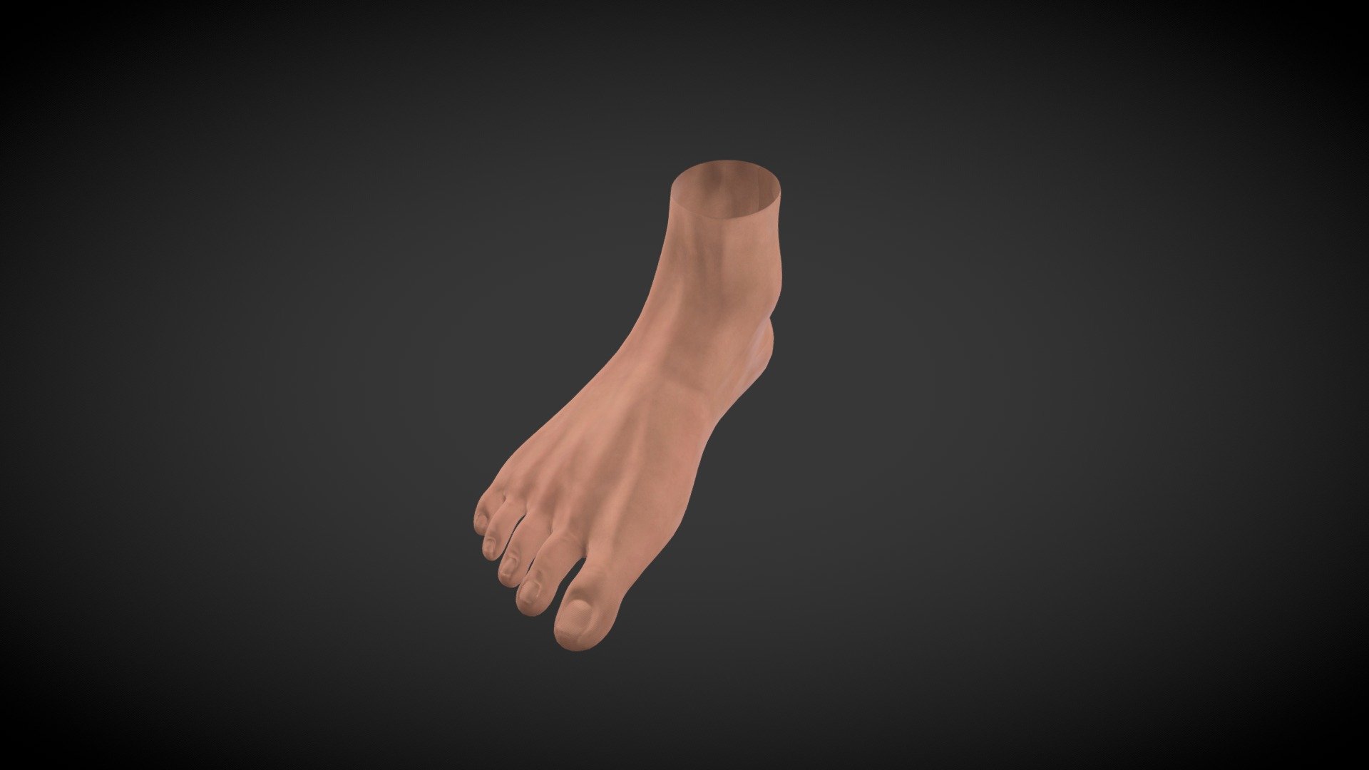 Stylized Foot Model - Download Free 3D model by Lunar Art (@lunarart3 ...