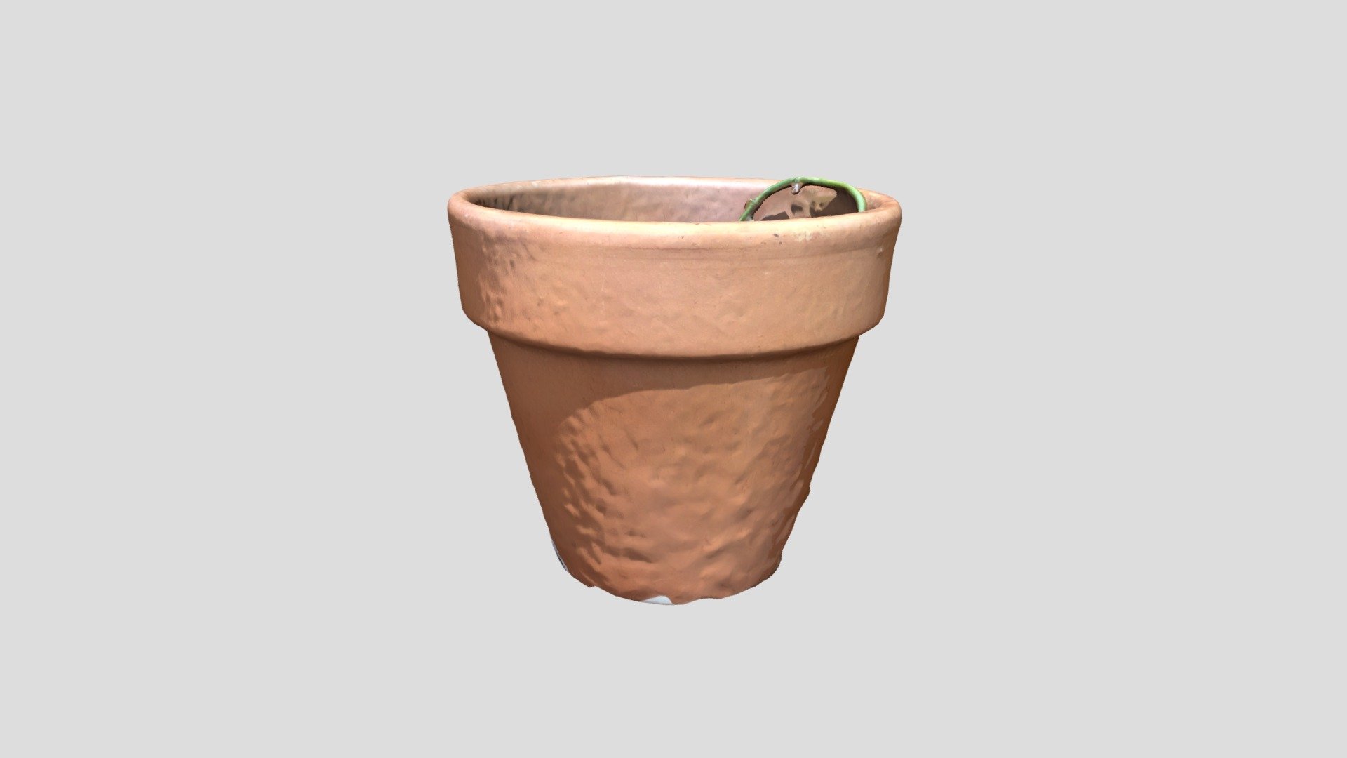 Pot With Small plants - 3D model by hcmohr [6aefd9d] - Sketchfab