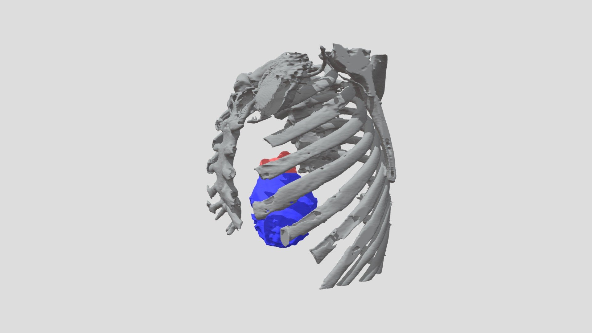 VAD - 3D model by eleonora (@eleonora.costagliola) [6af5421] - Sketchfab