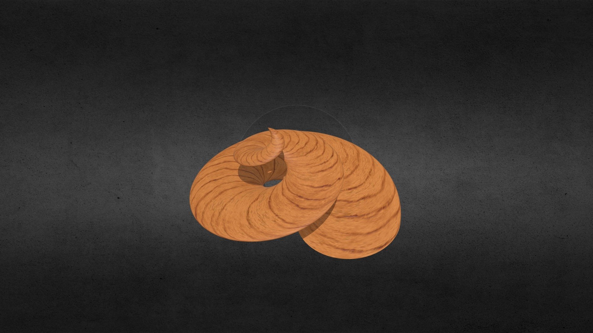 twist - 3D model by meltingsun [6af55bf] - Sketchfab