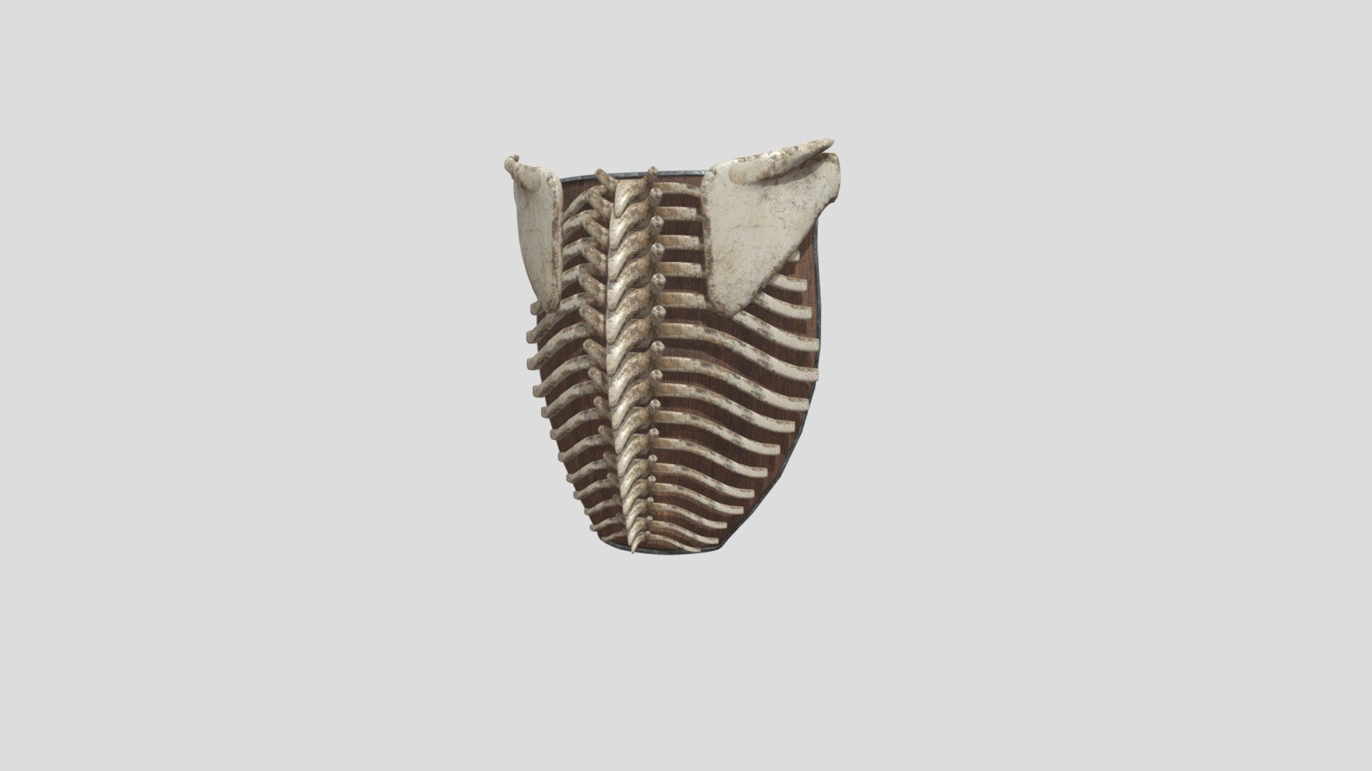 Bone Shield - Download Free 3D model by lucq22 [6af6cc4] - Sketchfab