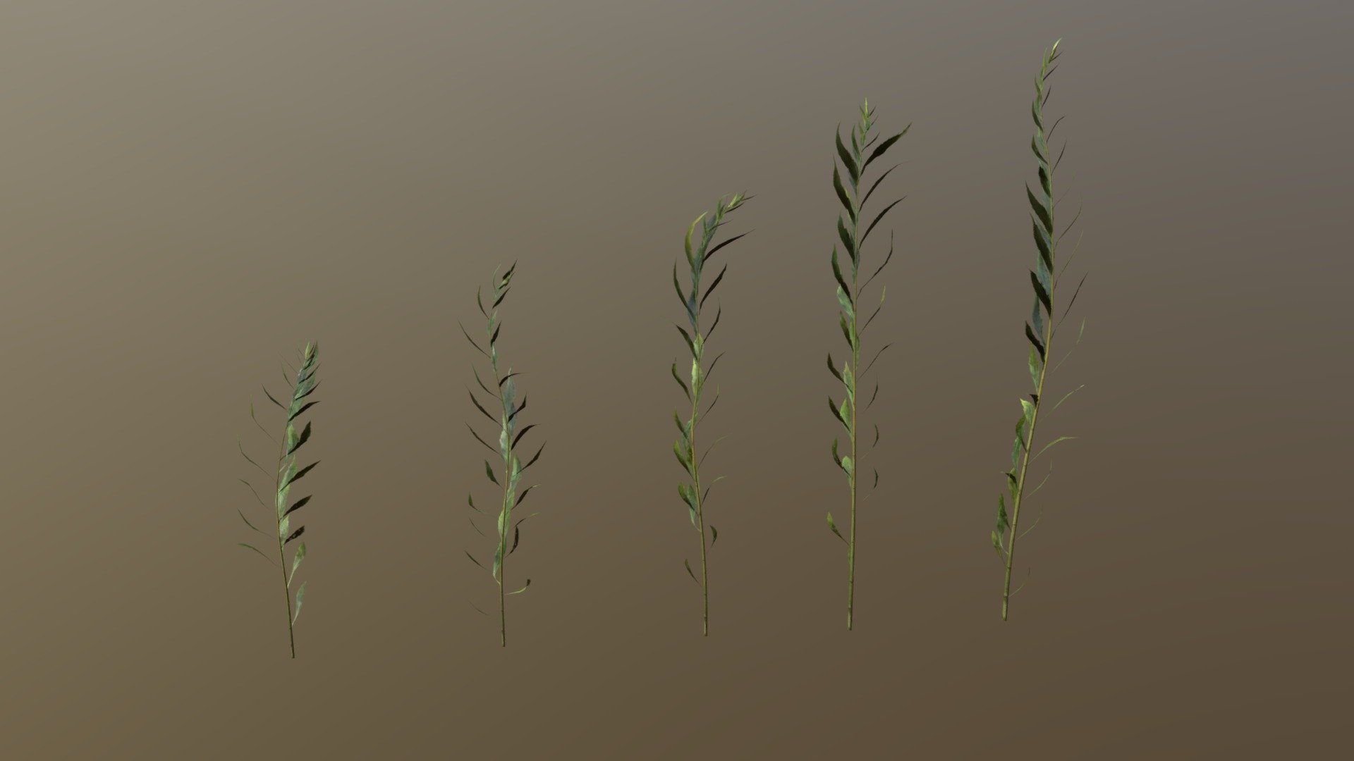 Goldenrod Pack - Buy Royalty Free 3D model by kambur [6afdfb8 ...