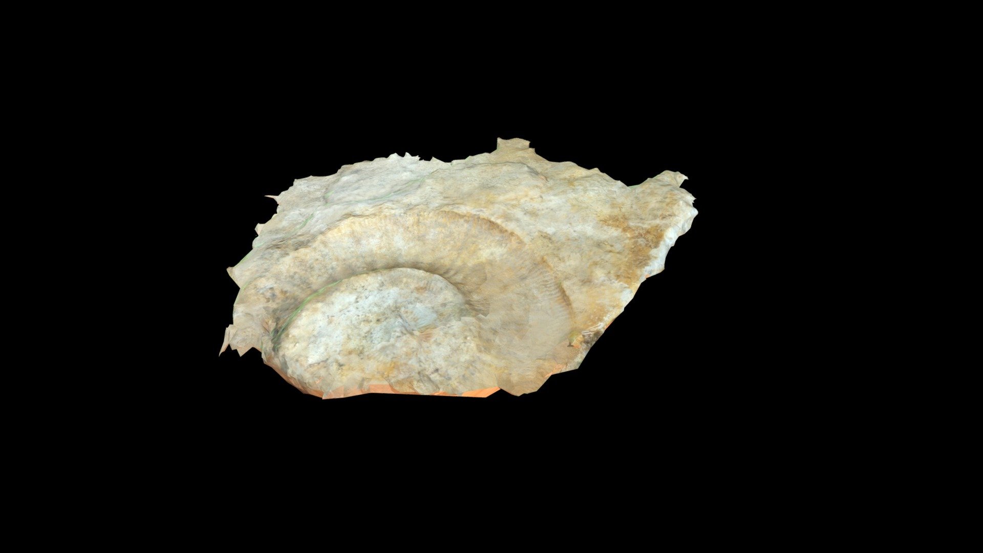 Fossil Scan - Download Free 3D model by Lord Daro (@tomspecht) [6b0335d ...