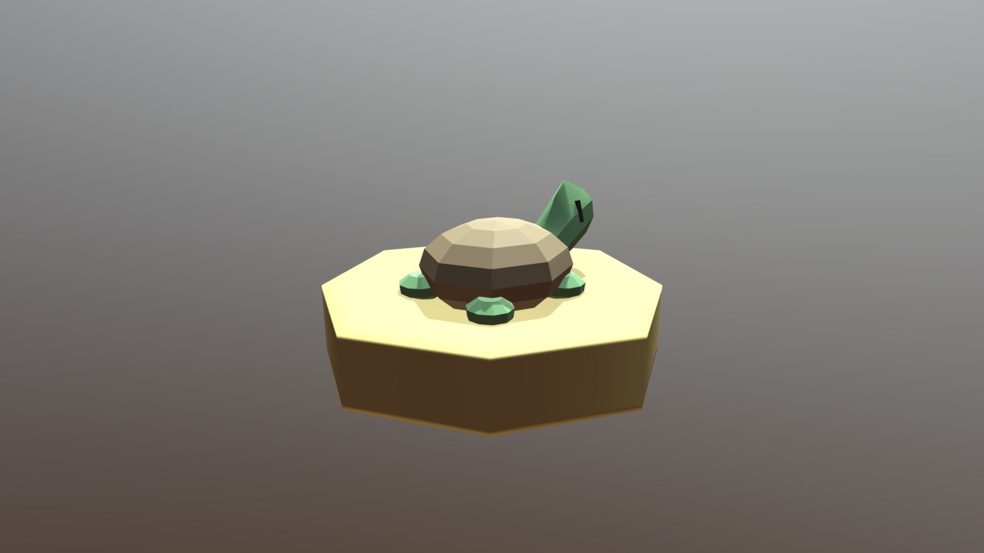 Low Poly Turtle on Cushion - 3D model by Caramelle [6b07f11] - Sketchfab