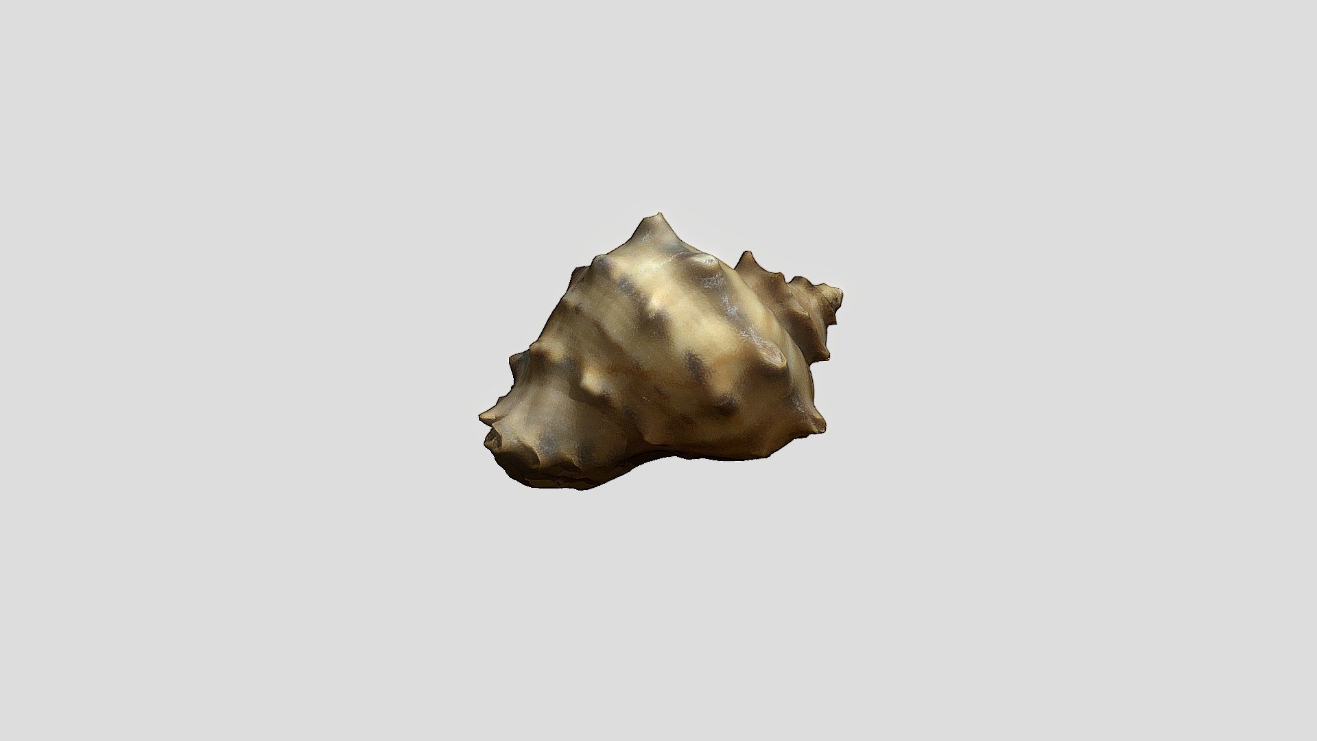 shell_3D - Download Free 3D model by hemlock06 [6b090b1] - Sketchfab