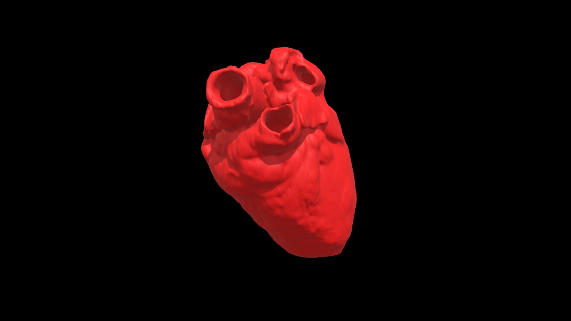 Heart Tissue Model- Heart0147 - Download Free 3D model by ...