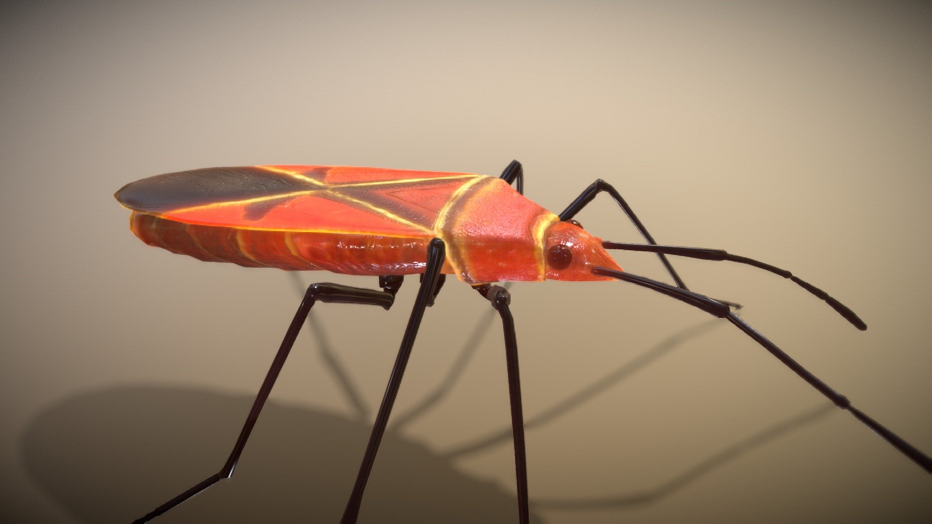Firebug - Buy Royalty Free 3D model by Zacxophone [6b0b207] - Sketchfab ...