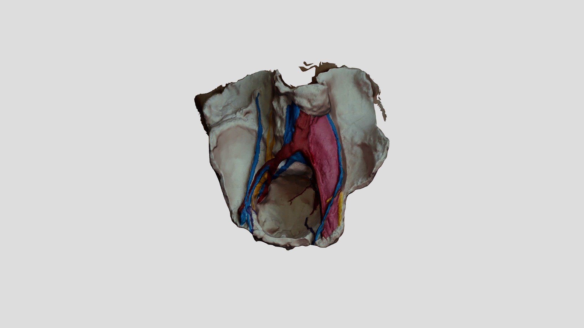 bassin - 3D model by rodolphe burgade (@rodolpheburgade) [6b0bff0 ...