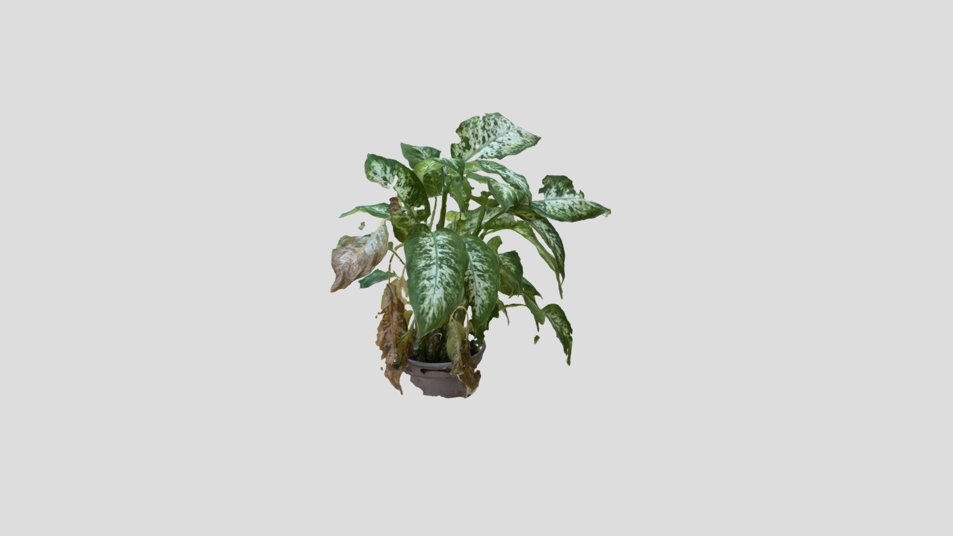 Scan 2023-03-23T17:58:33.577Z - Download Free 3D model by hectorpuigdo [6b0d68f] - Sketchfab