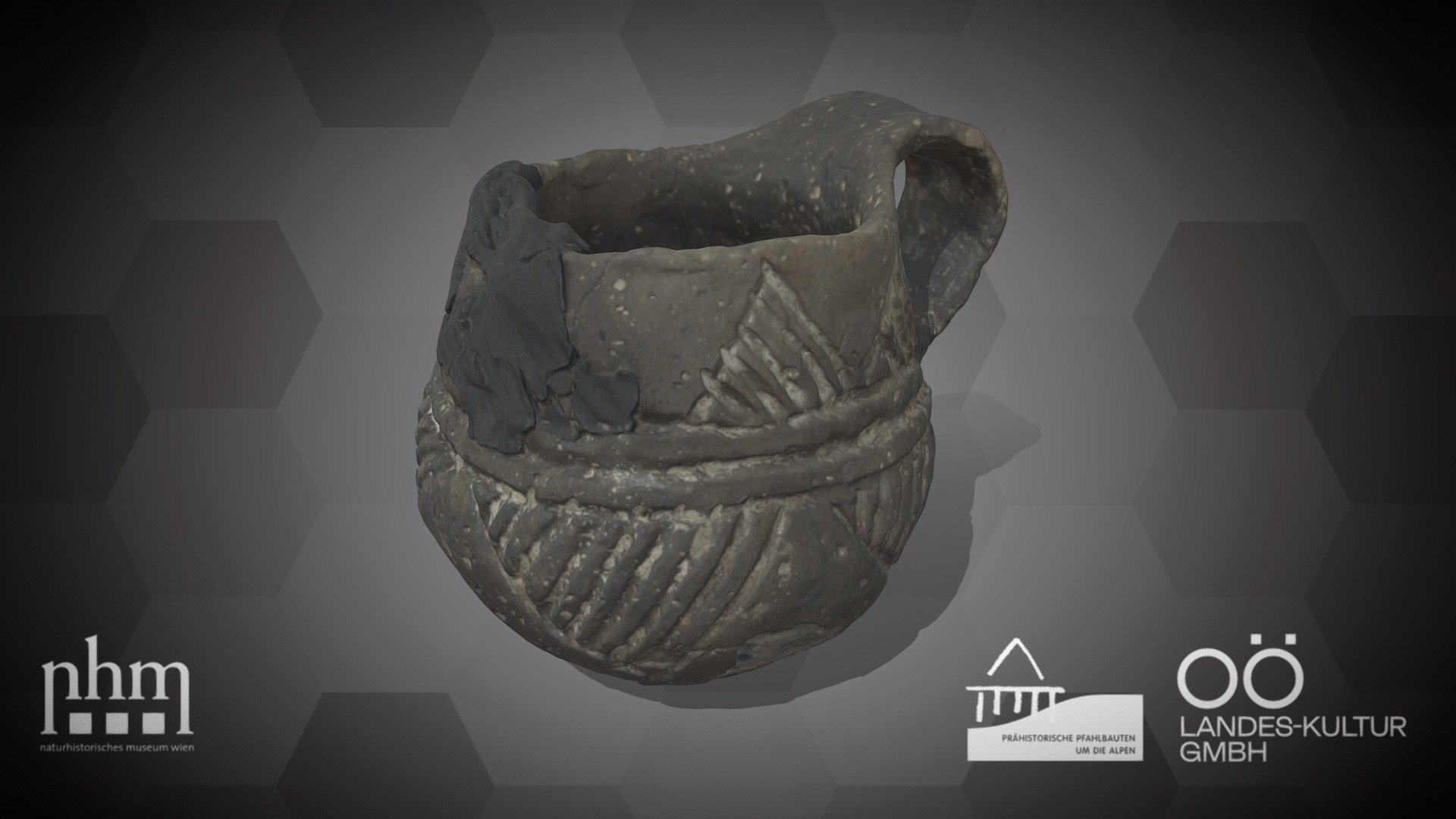 Pitcher - Download Free 3D model by Natural History Museum Vienna ...
