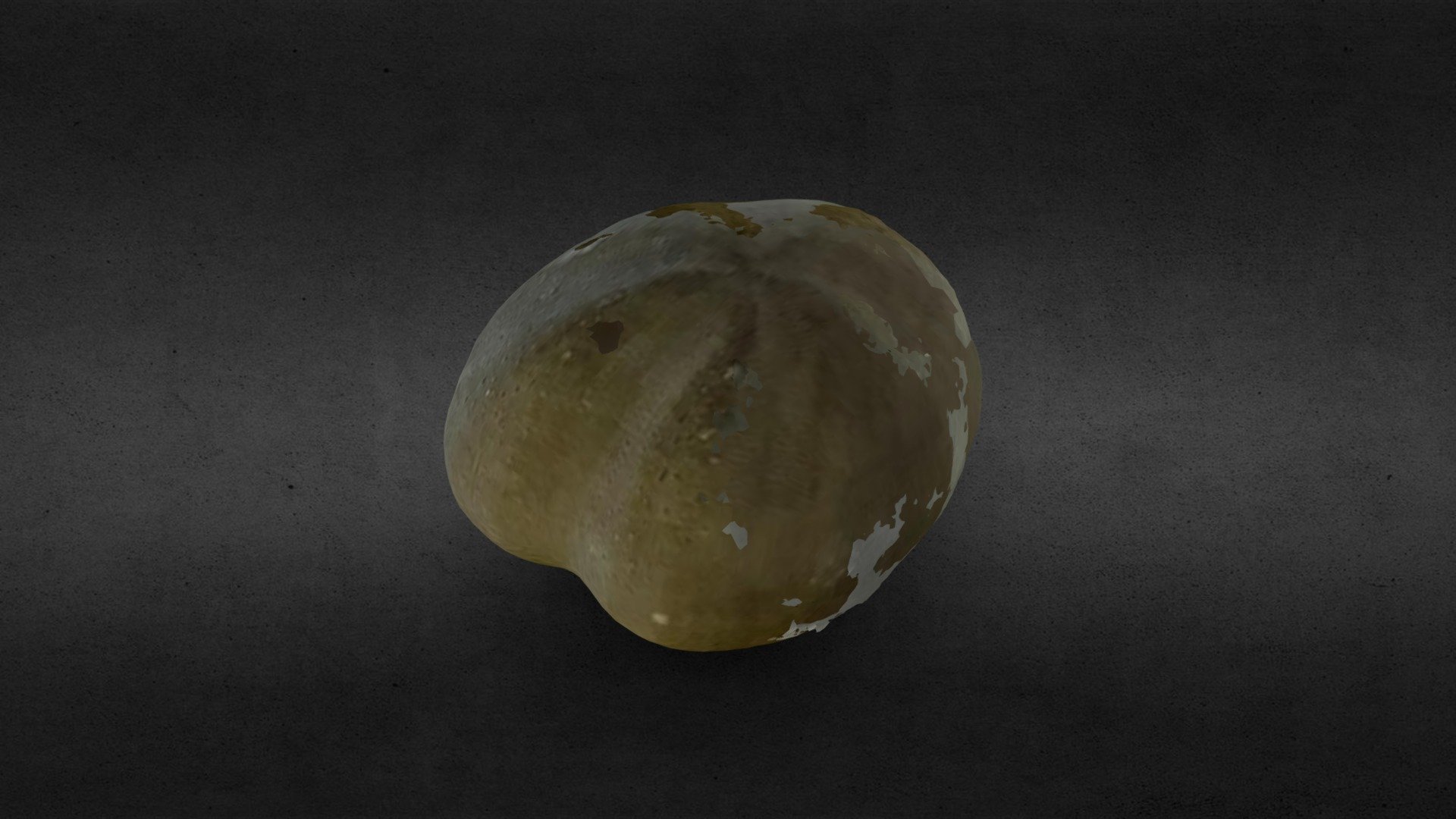 Fossil 3D - Download Free 3D model by jaume (@jgual) [6b280df] - Sketchfab
