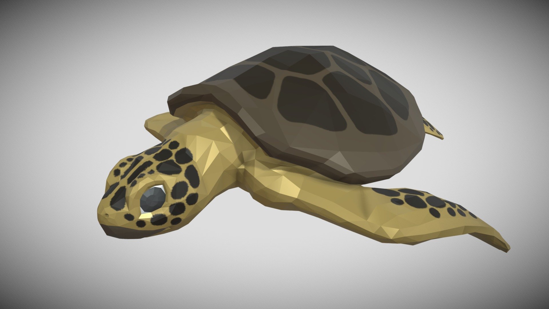 [Low Poly] SeaTurtle - Buy Royalty Free 3D model by Jiffycrew [6b36c4d ...