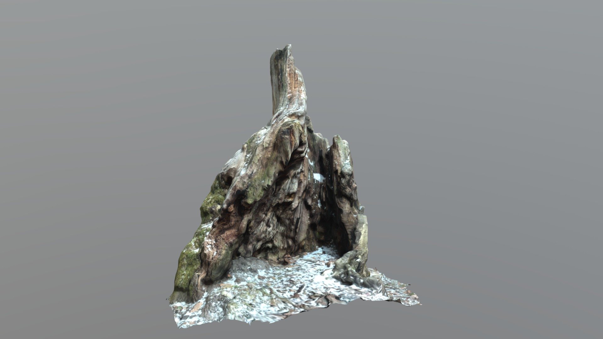 Tree_ Trunk_001 - 3D model by KohalikScanned [6b39dcc] - Sketchfab