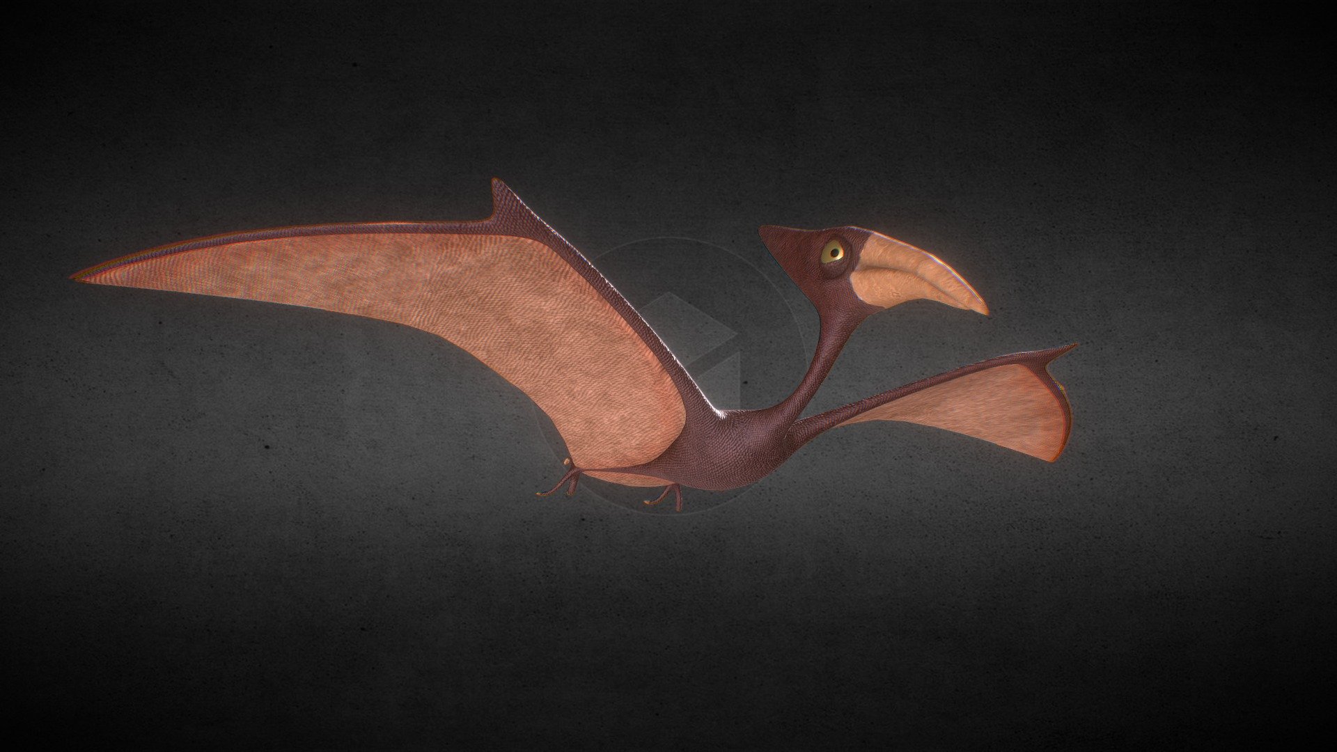 Terodactilo - Download Free 3D model by Santiago Shang (@santiagoshang ...