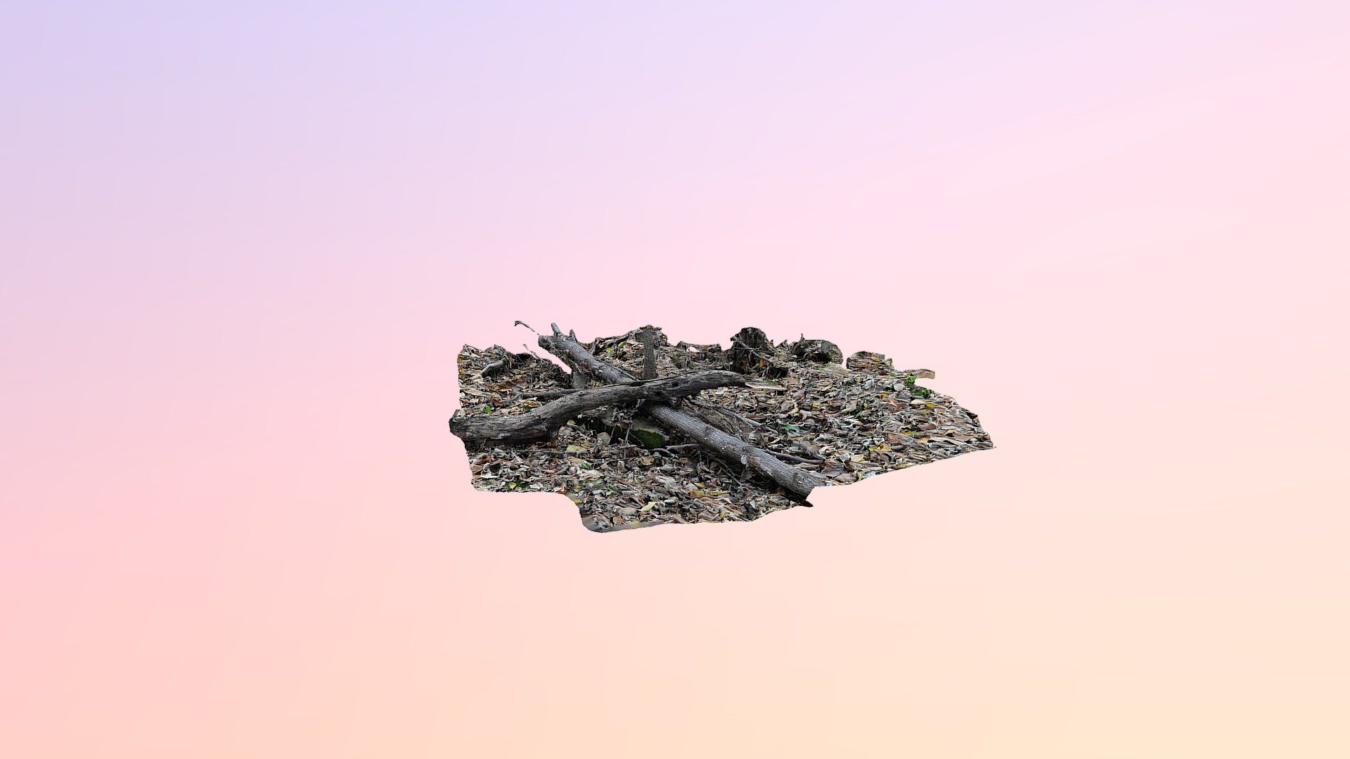 Thee Image Test Reduced - 3D model by flinthoward [6b41bbc] - Sketchfab