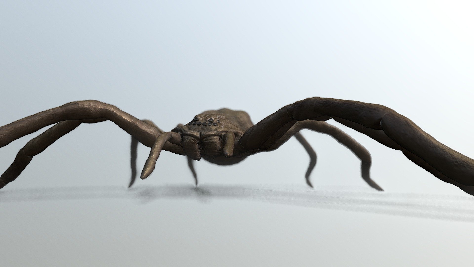 Giant Huntsman Spider - Download Free 3D model by ArachnoBoy (@vang807 ...