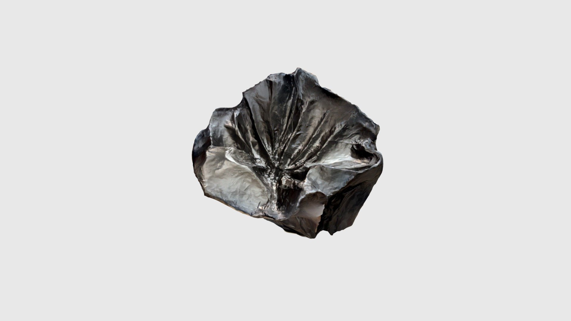 Actinia - 3D model by Sylvie Penet (@SylviePenet) [6b4d21a] - Sketchfab