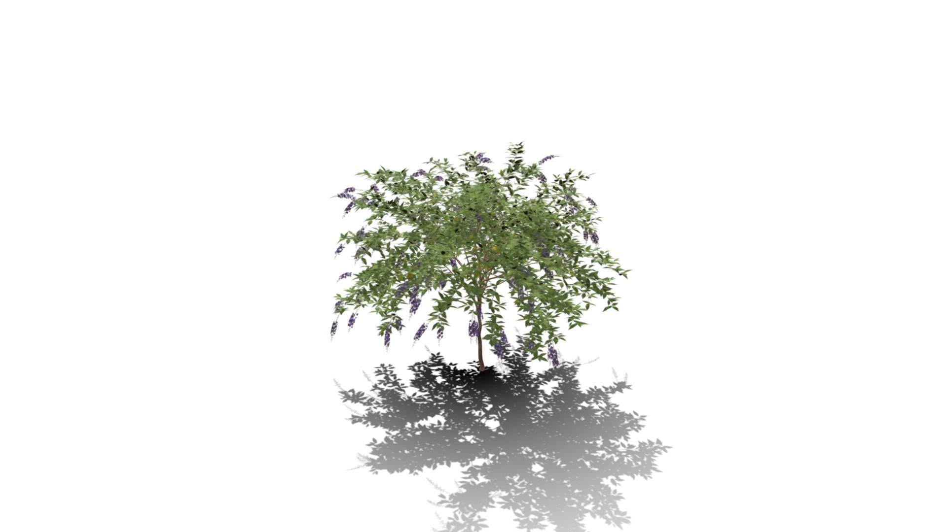 Realistic HD Golden dewberry (8/20) - Buy Royalty Free 3D model by ...