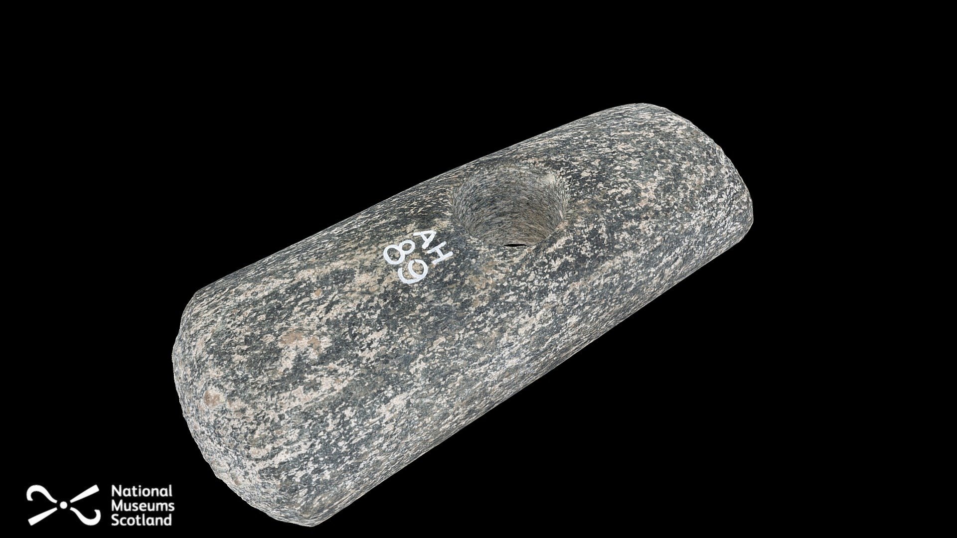 Cushion Macehead, Bloody Quoy, Deerness, Orkney - 3D model by National ...