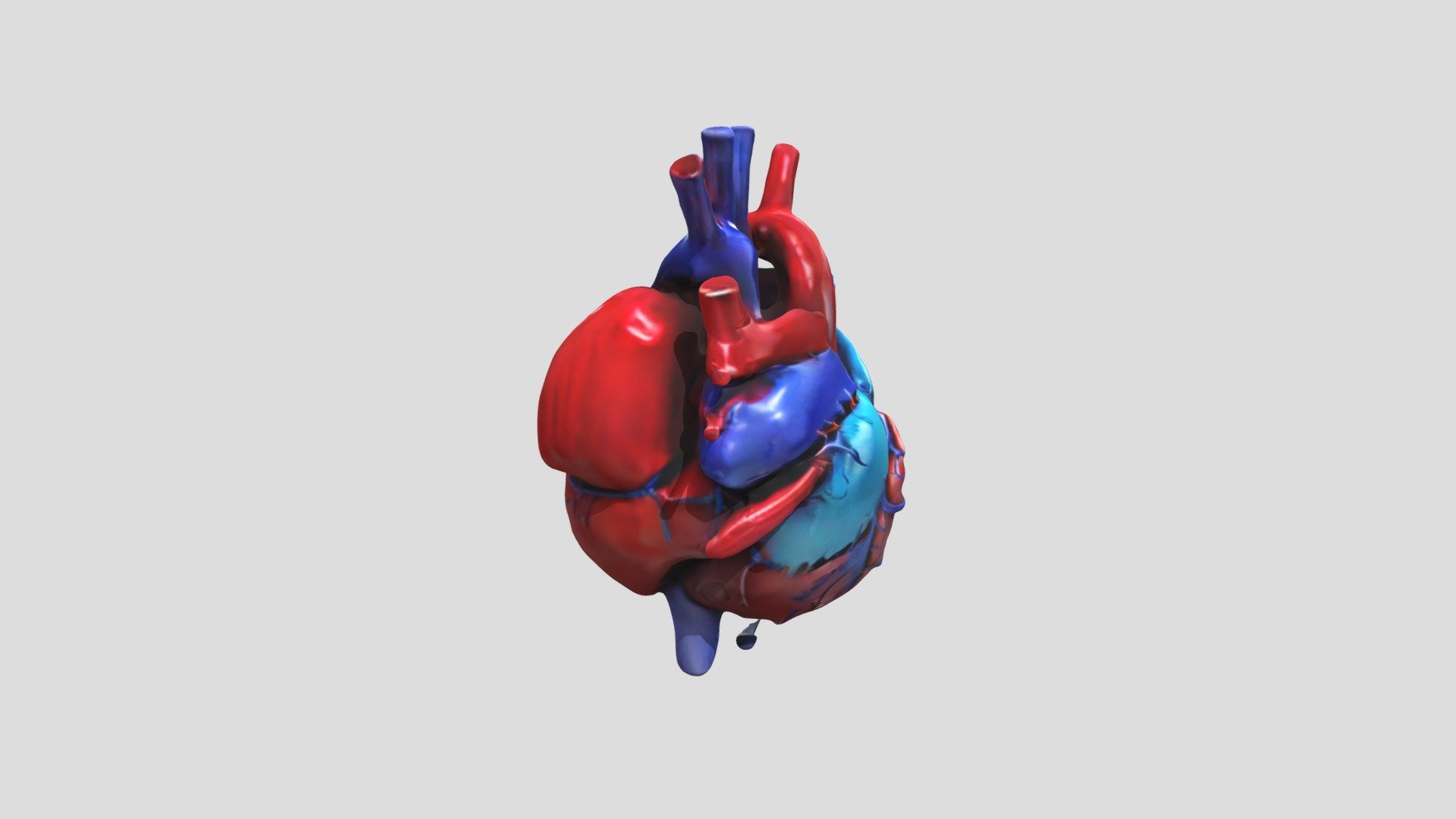heart_draft - 3D model by ivana.cueee [6b6994d] - Sketchfab