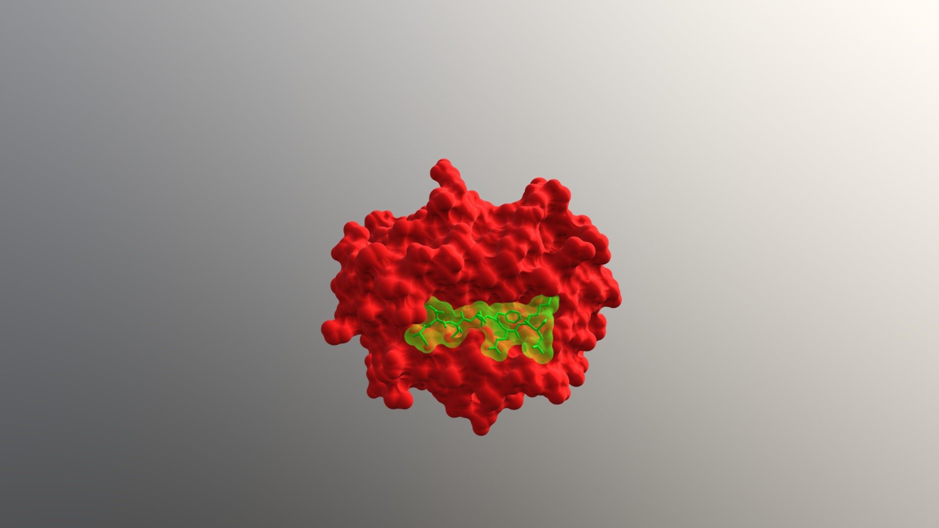 H2K-b Mice with SIINFKEL Peptide - 3D model by AJiiserm [6b6a6ed ...