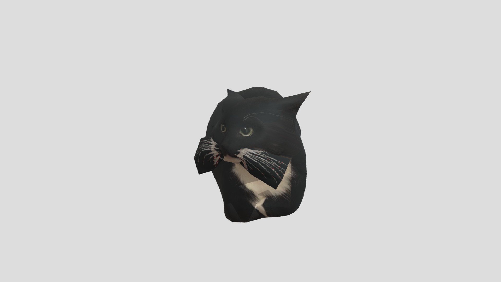 Maxwell - Download Free 3D model by Эпчик (@Owert_198) [6b70436 ...