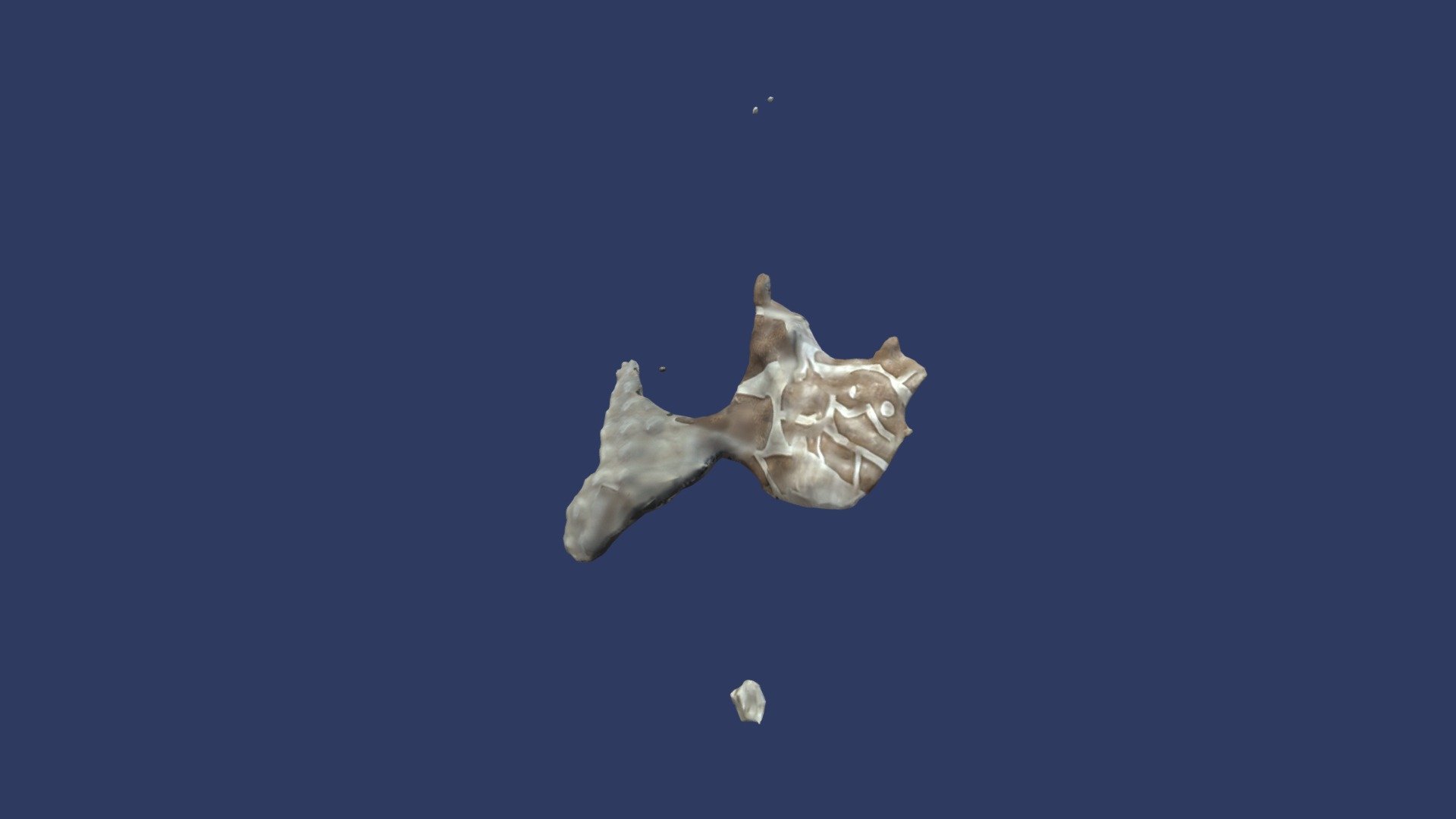 shell from deep sea - 3D model by 62020244 [6b792e1] - Sketchfab