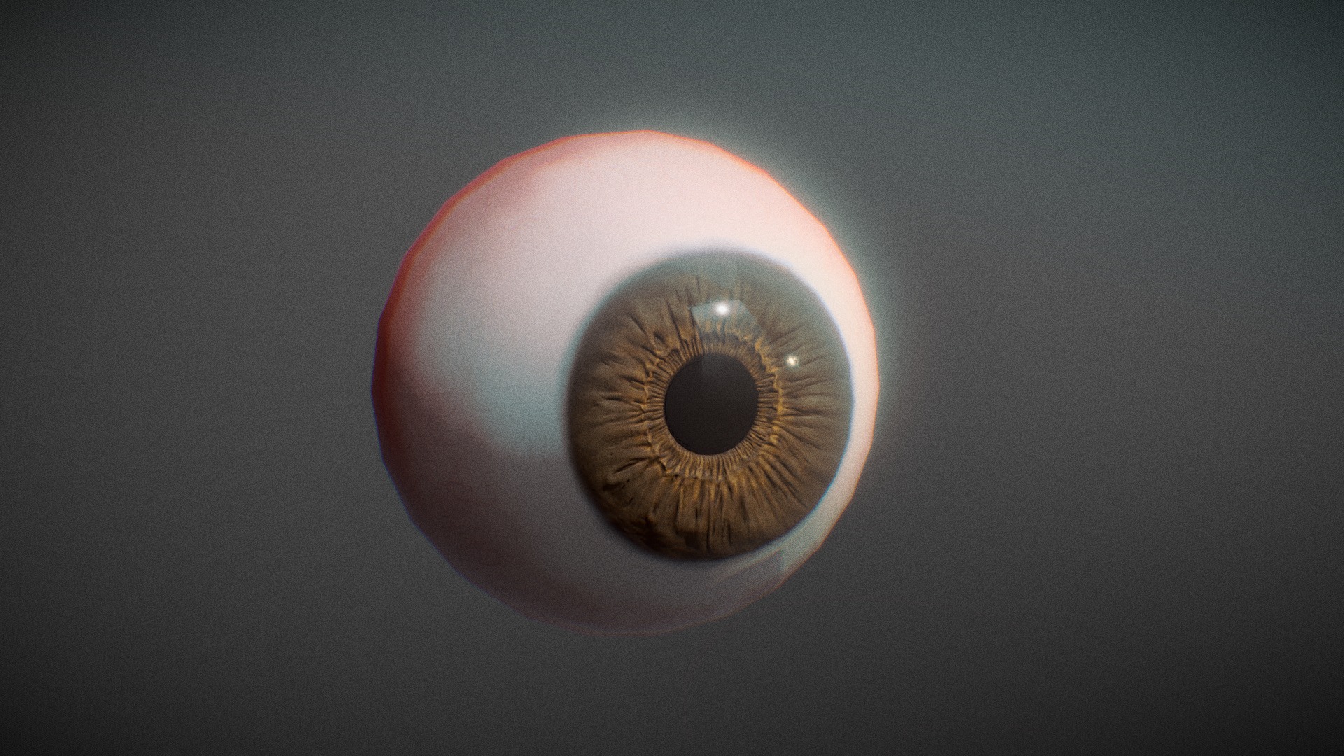 Human Eye - 3D model by thiago.ts [6b794bd] - Sketchfab