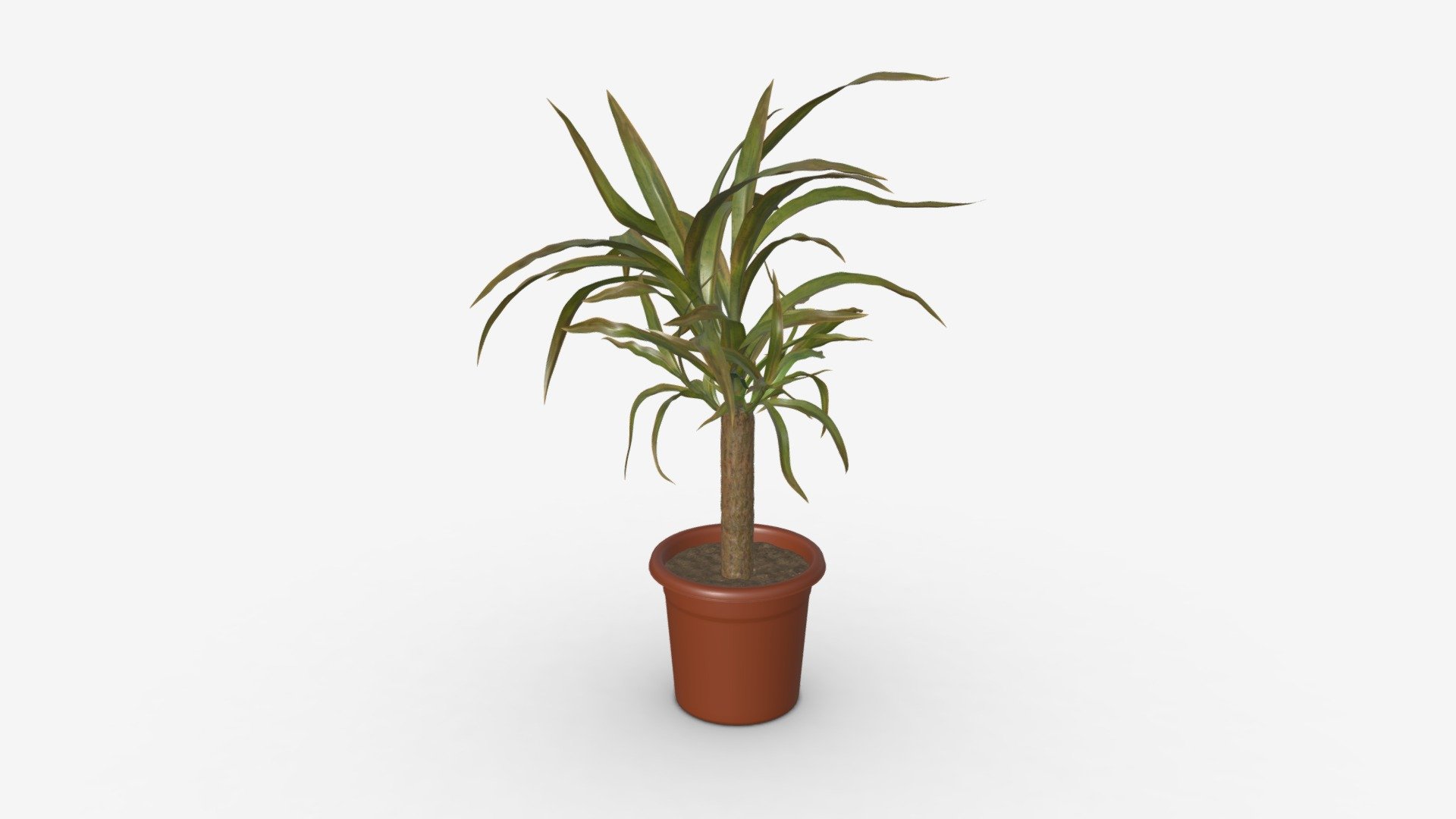 Plant 01 - Buy Royalty Free 3D model by HQ3DMOD (@AivisAstics) [6b7ca8c ...