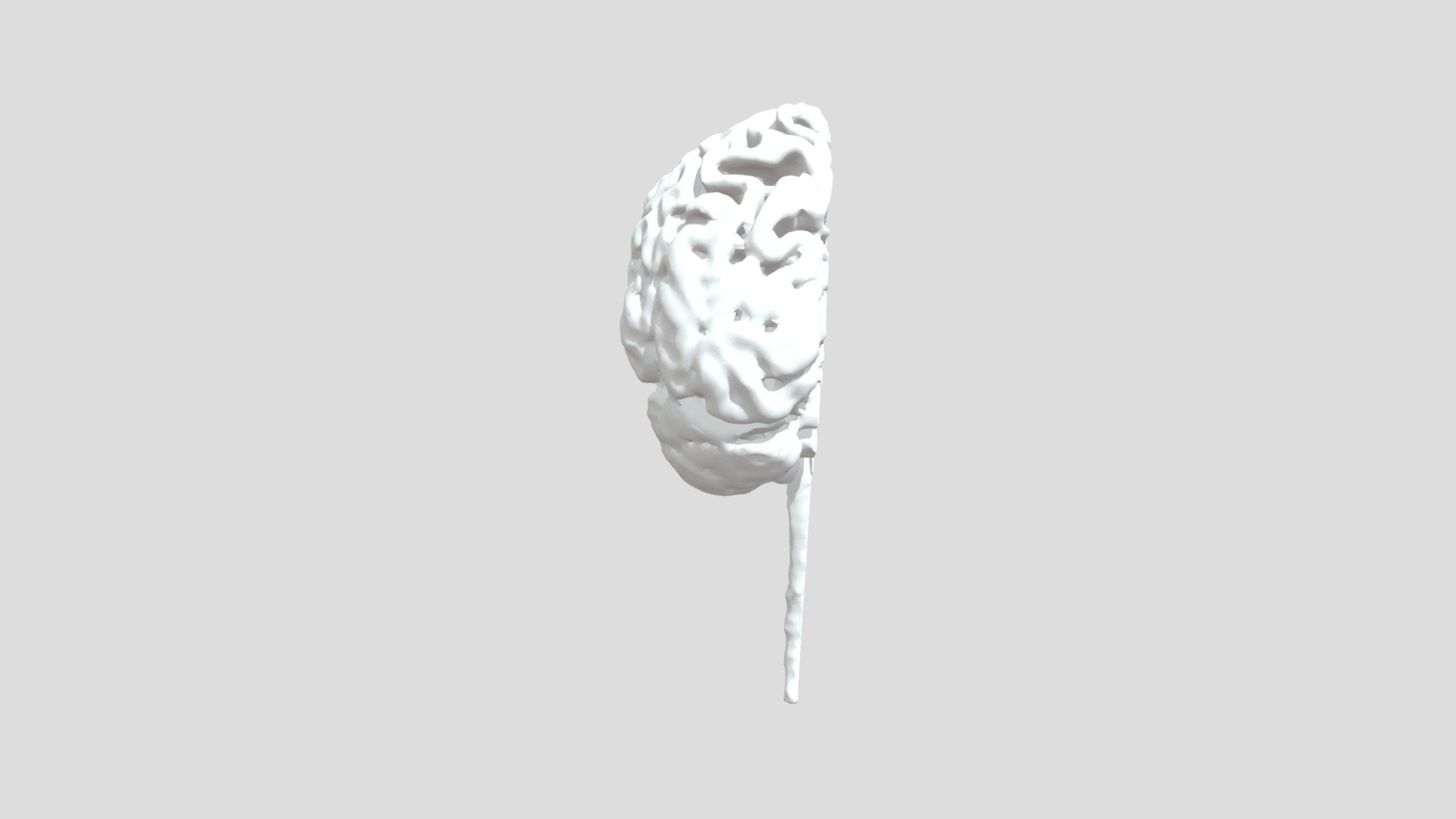 left_brain_cut_2 - 3D model by debritzd [6b7dadb] - Sketchfab