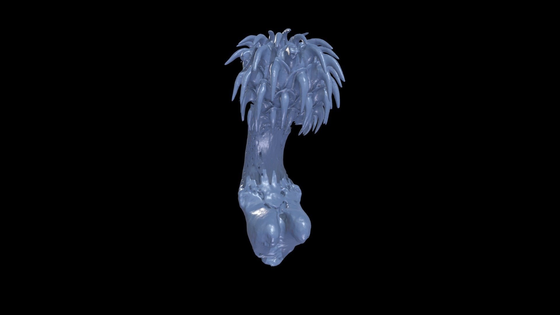 tenaculum smooth - 3D model by ellanicklin [6b8487c] - Sketchfab