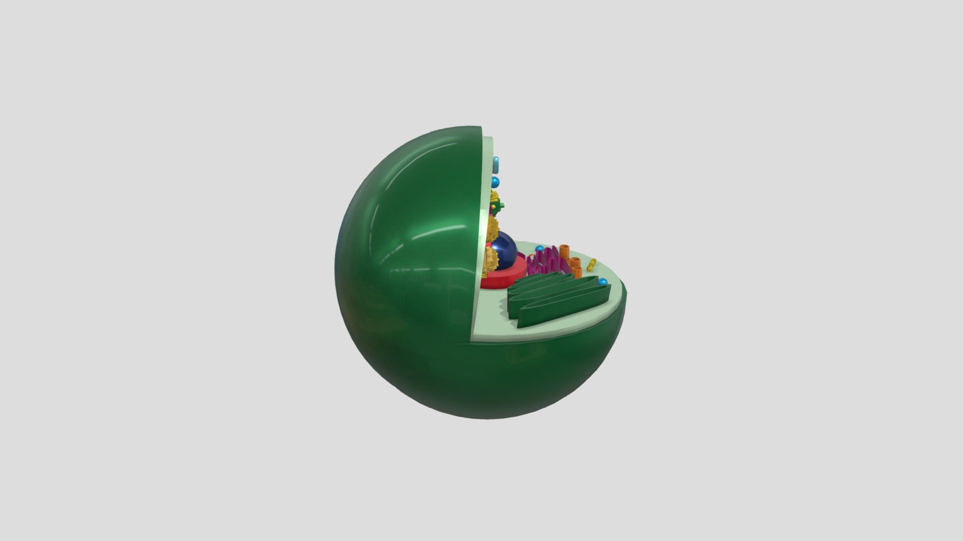bio - 3D model by irene.tabada7 [6b99c64] - Sketchfab