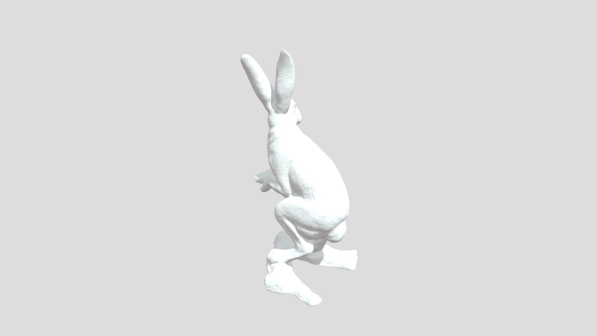 Rabbit - Download Free 3D model by hlusova.s [6bb708d] - Sketchfab