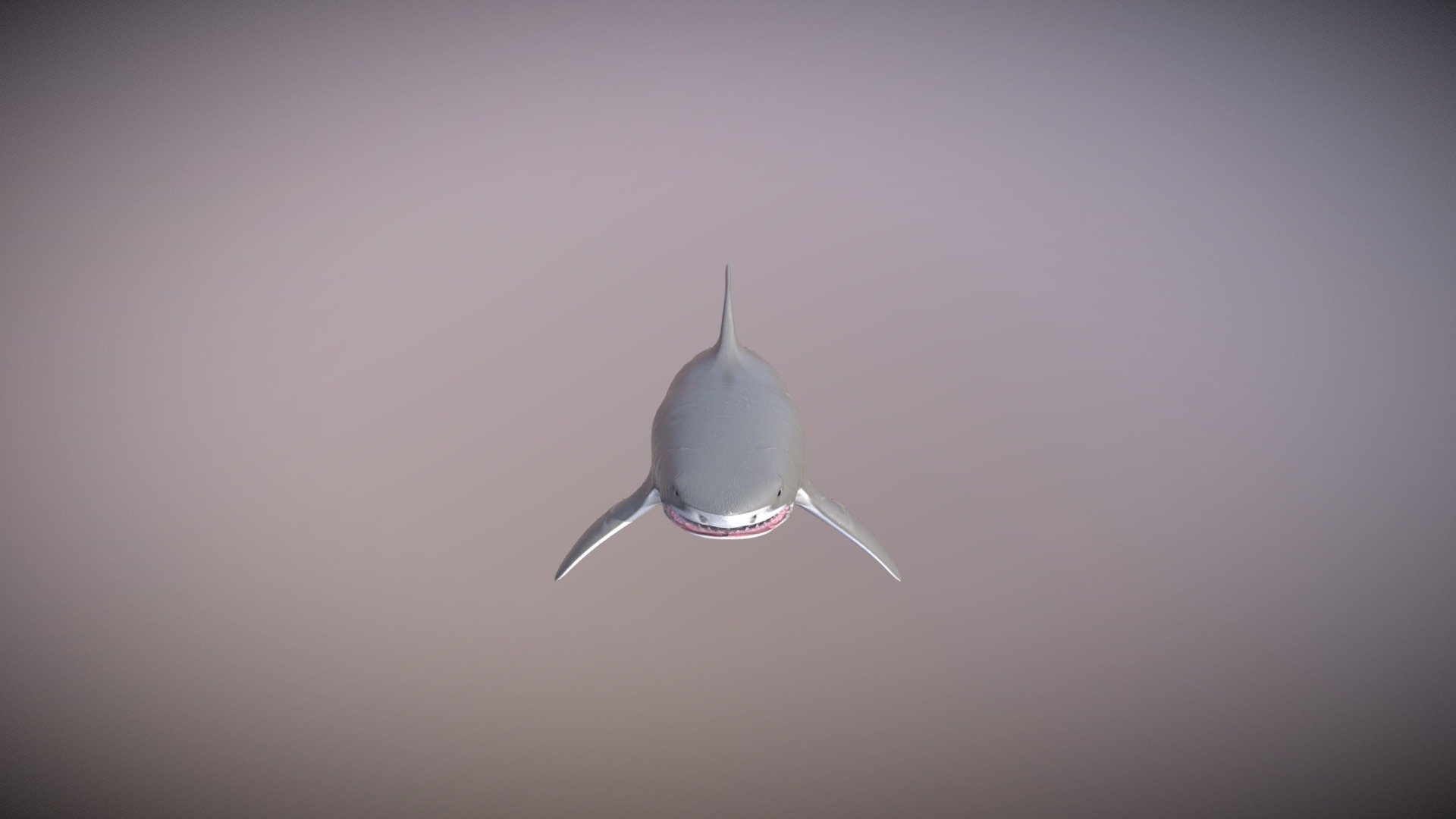 Shark - 3D model by hamzasketches [6bbba18] - Sketchfab
