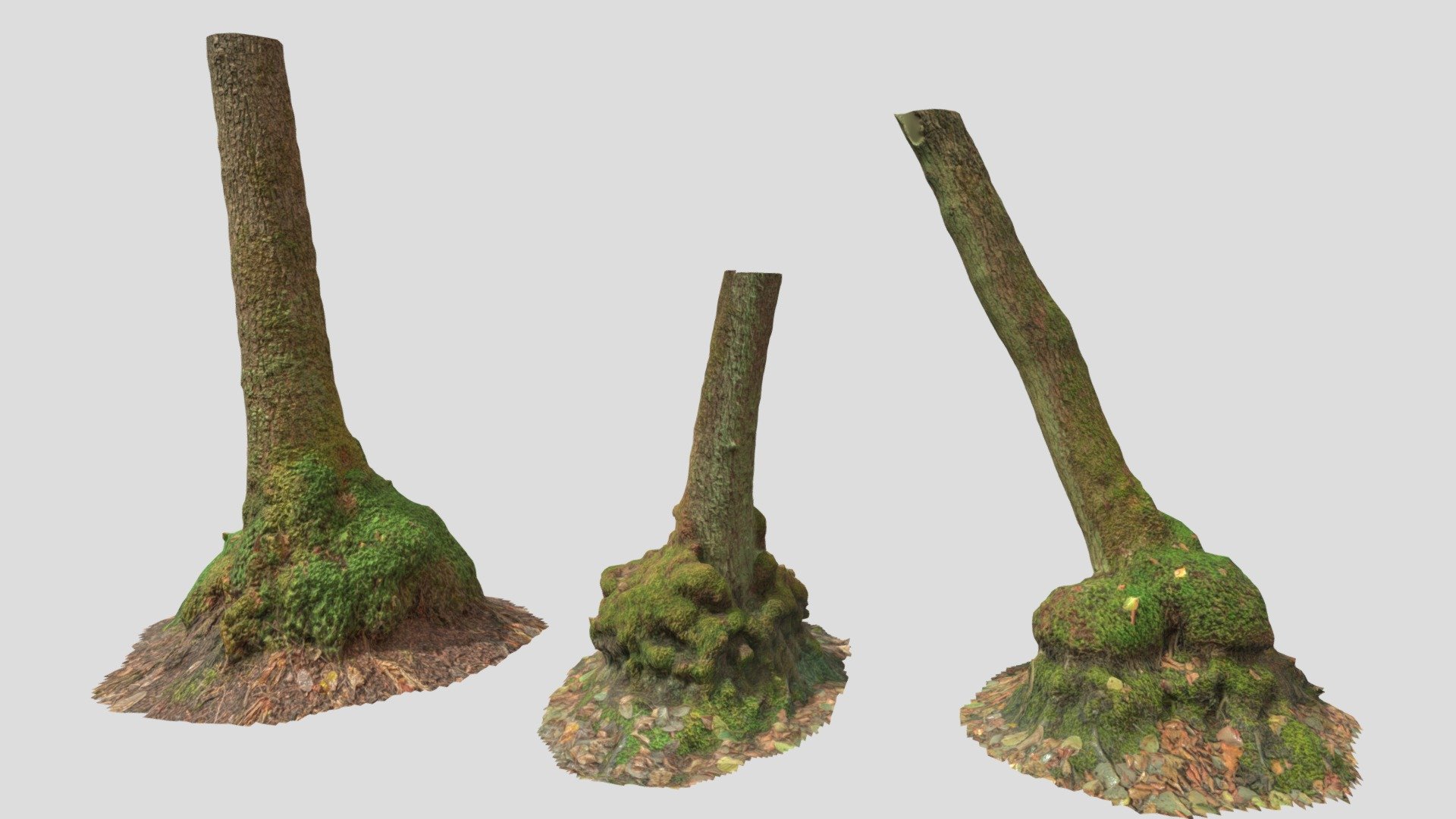 Swamp Tree Collection Scan - Buy Royalty Free 3D model by Per's Scan ...