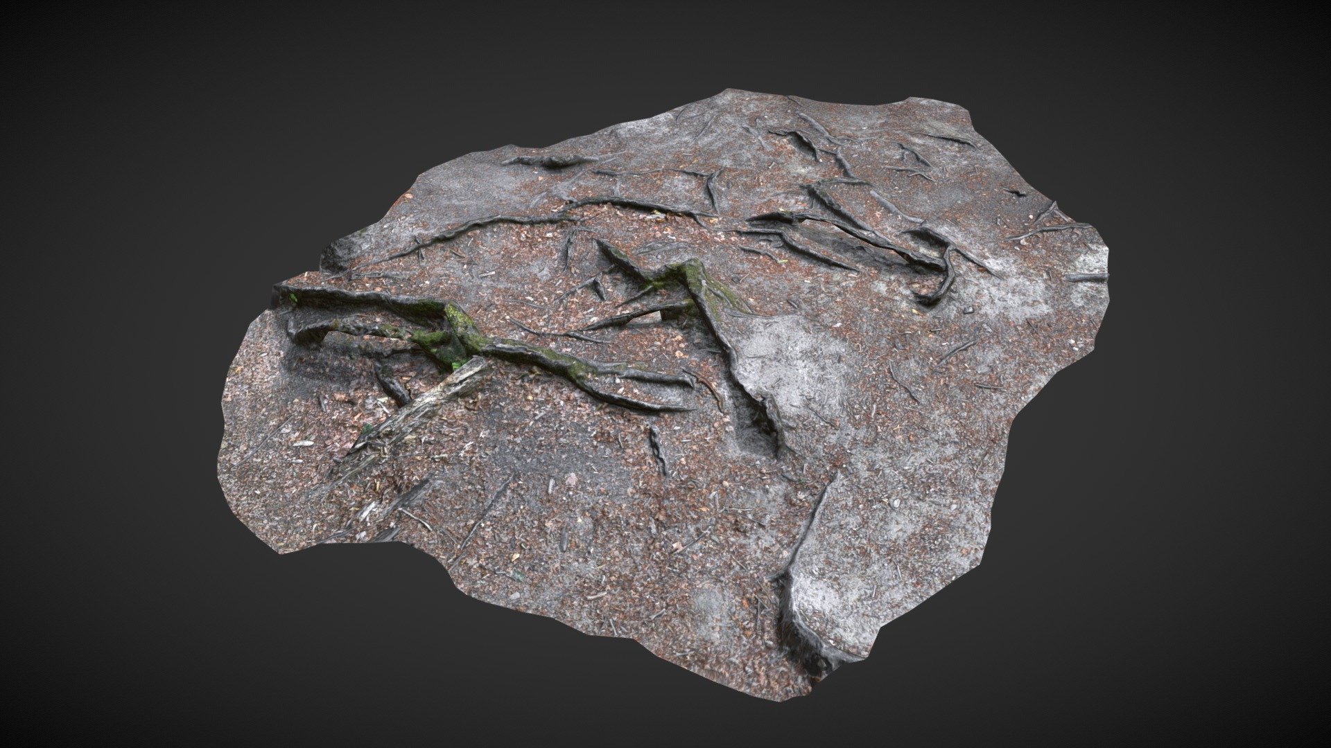 Beech forest ground - LP PBR Game ready - Buy Royalty Free 3D model by ...
