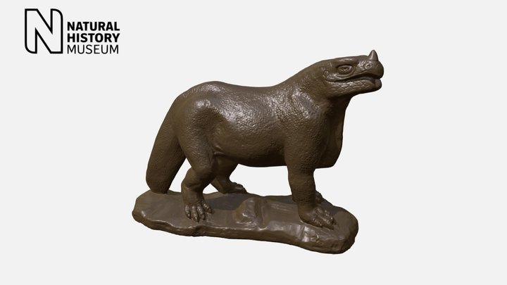 Mantellodon 3D models - Sketchfab