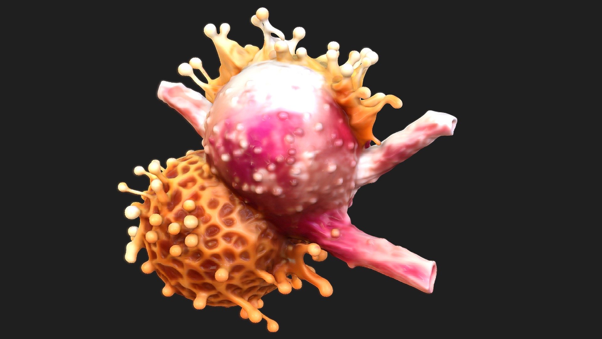 Cancer Cell - 3D model by zames1992 [6bca20c] - Sketchfab
