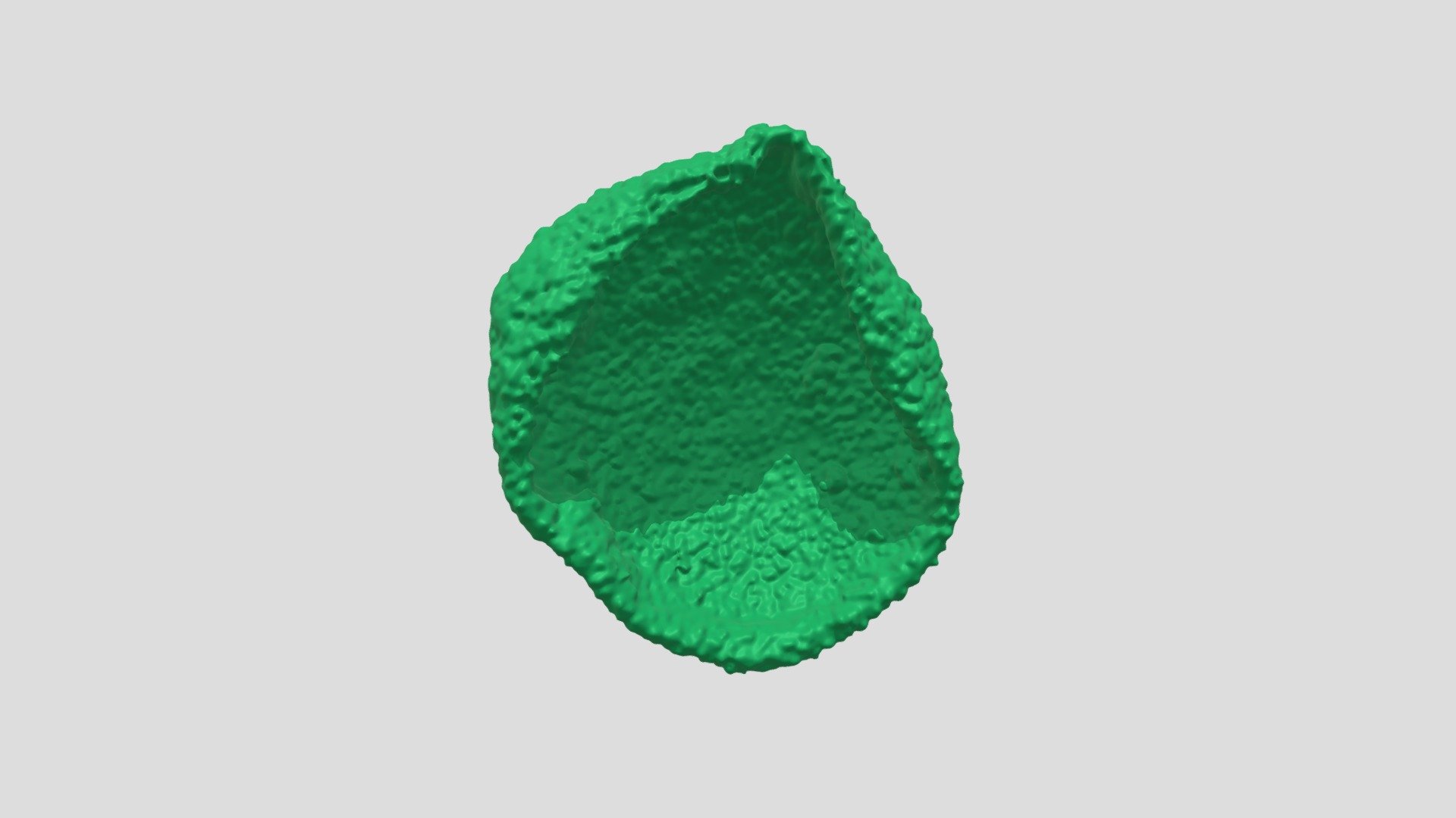 Common yew (Taxus baccata) pollen grain - 3D model by Cardiff ...