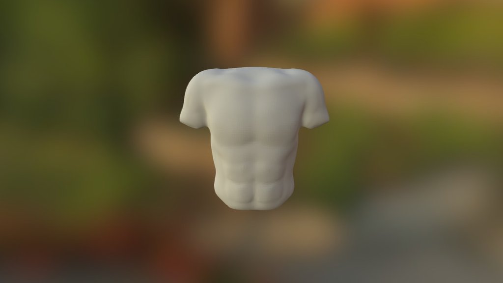Torso Test (Sculpt) - Download Free 3D model by xjayzk [6bd3a05 ...