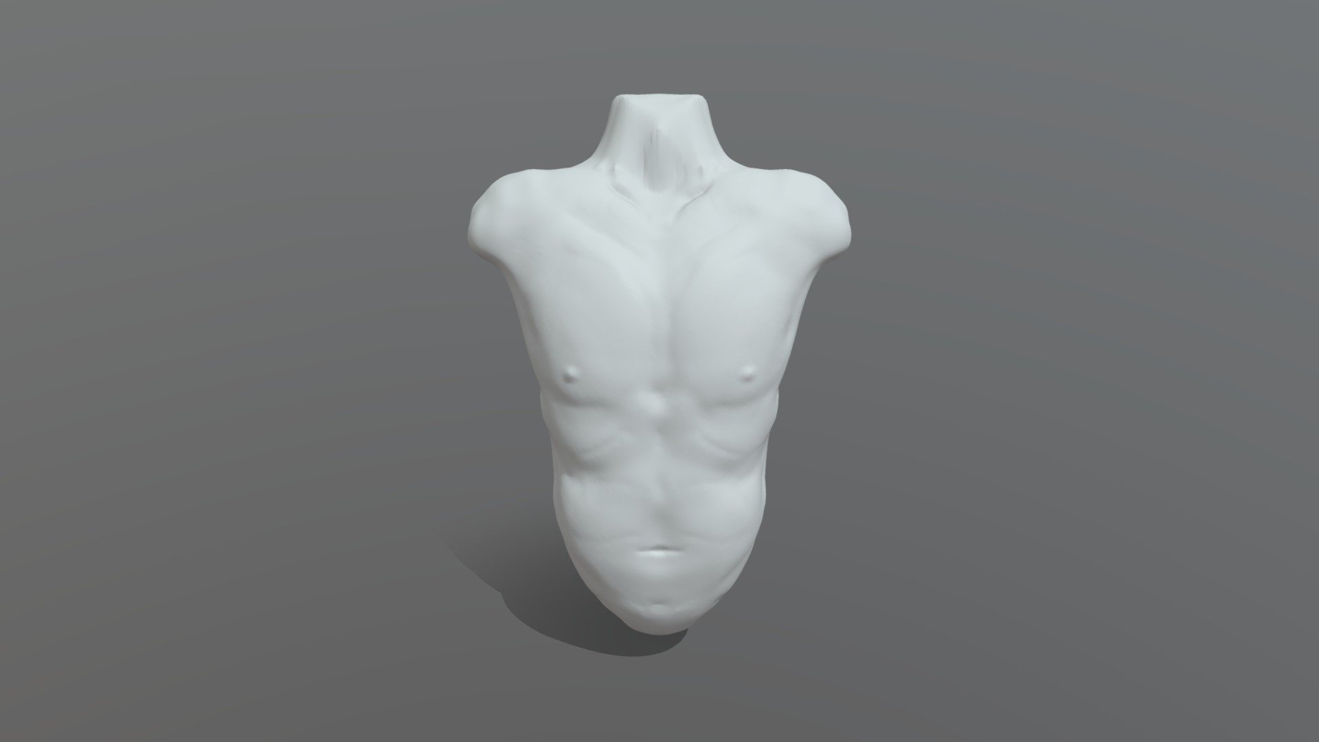 Anatomical Bust Sculpt (Male) - 3D model by Akash Fakira (@Afakira1 ...