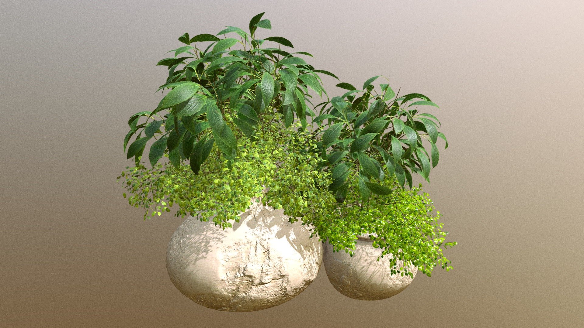 Plants - 3D model by Musaev H.N. (@Gajk.Mv) [6bdb28b] - Sketchfab
