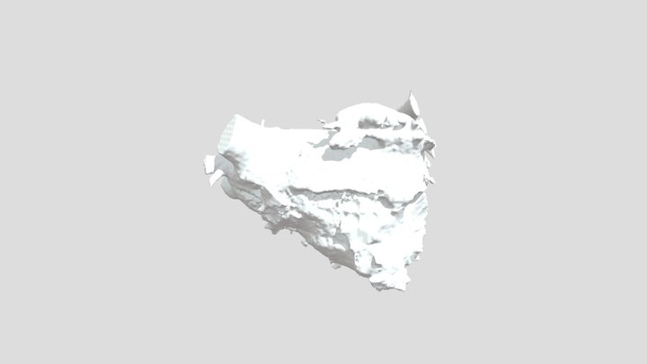 Left_atrium 3D models - Sketchfab