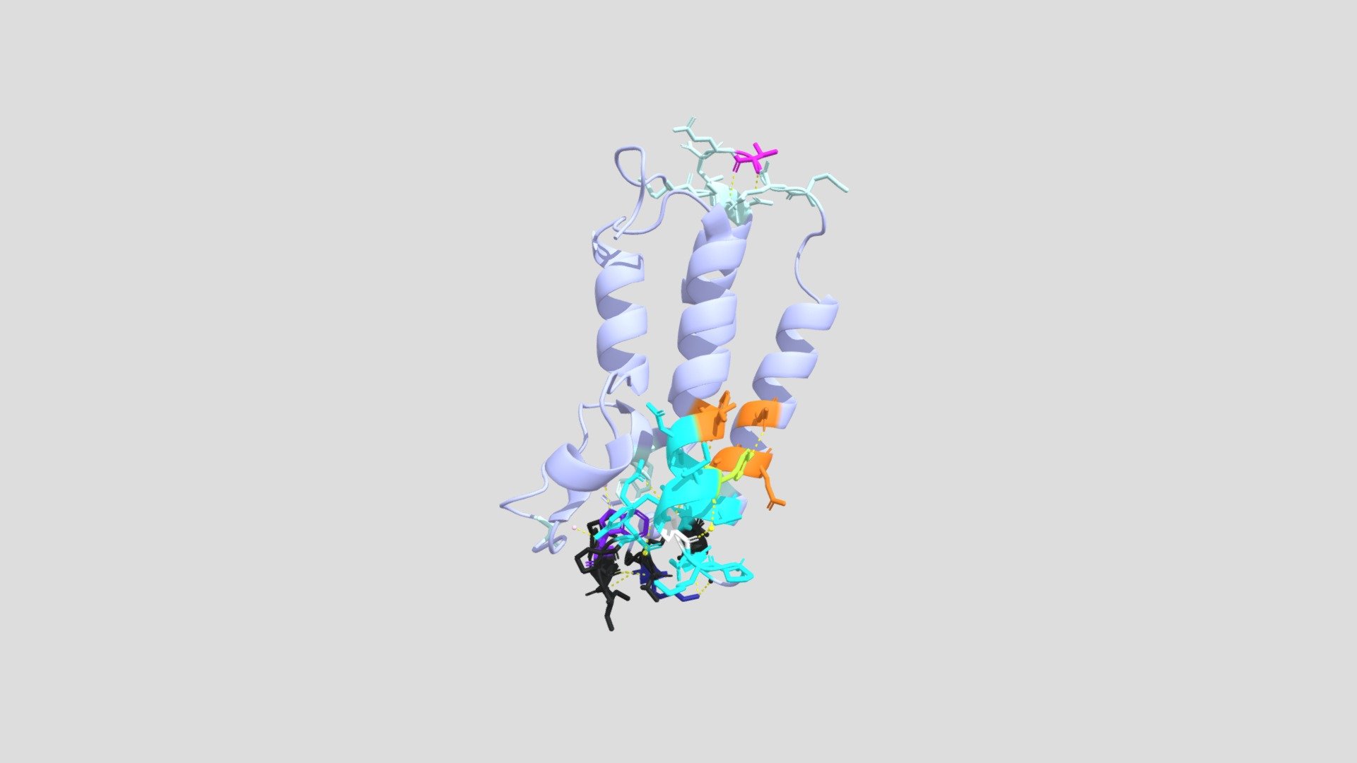 key features of BRD3 BD1 binding with 3.1C - 3D model by suncanwen ...