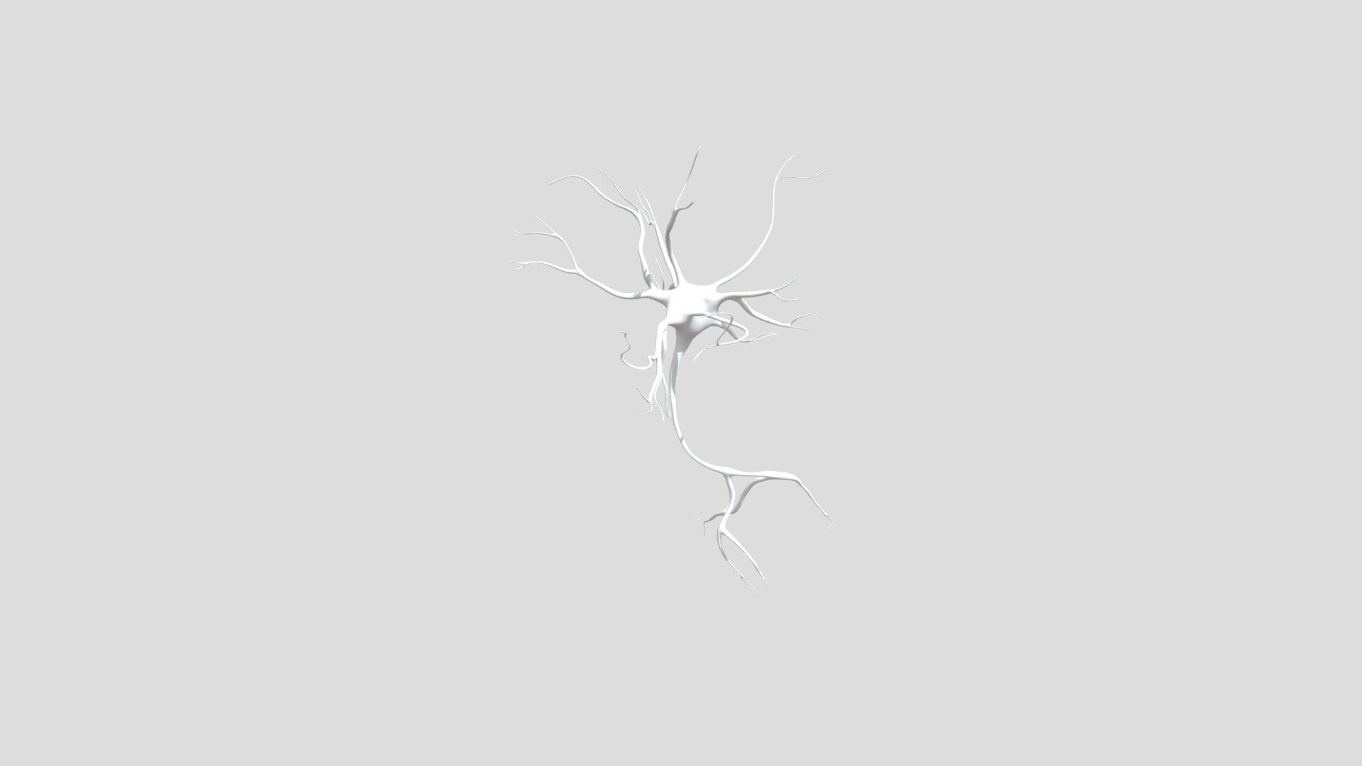 Neuron - 3D model by elorx [6be6acf] - Sketchfab