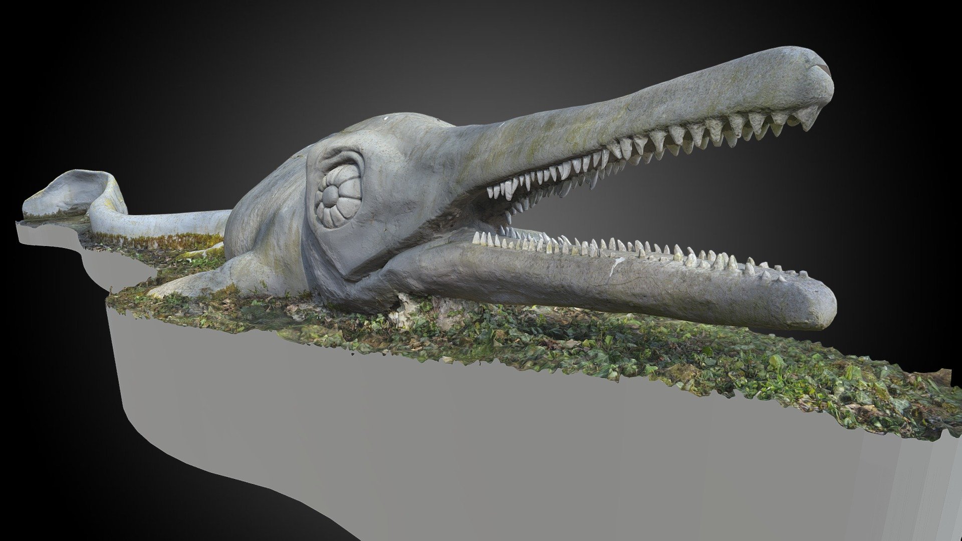 9 ‘Ichthyosaurus’ tenuirostris - 3D model by Historic England ...