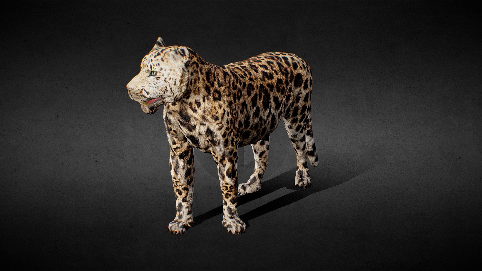 Leopard Animated Riged - Buy Royalty Free 3D model by Kasit Studio ...
