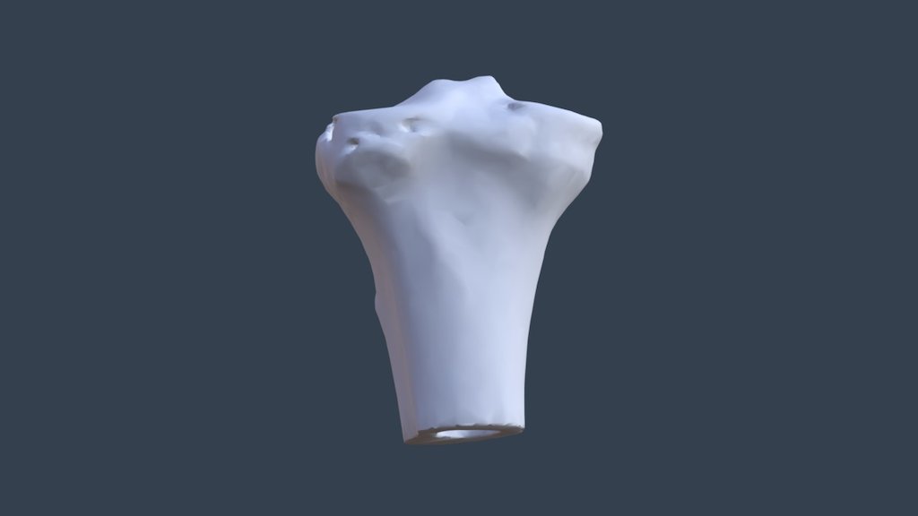 Tibia2 - 3D model by leomax [6bf7592] - Sketchfab