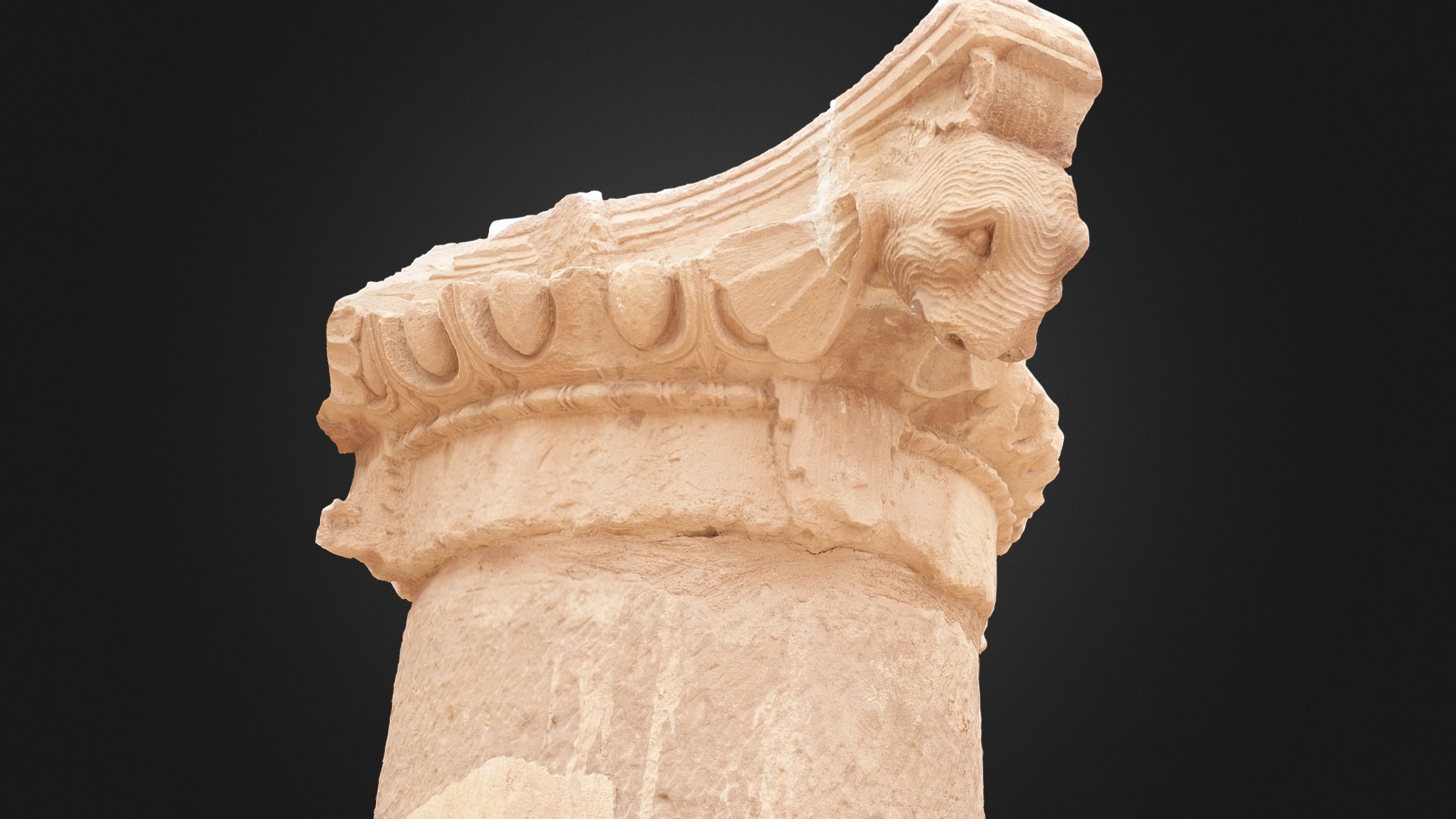 Elephant head column head - Petra - 3D model by mattdev [6bf77dd ...