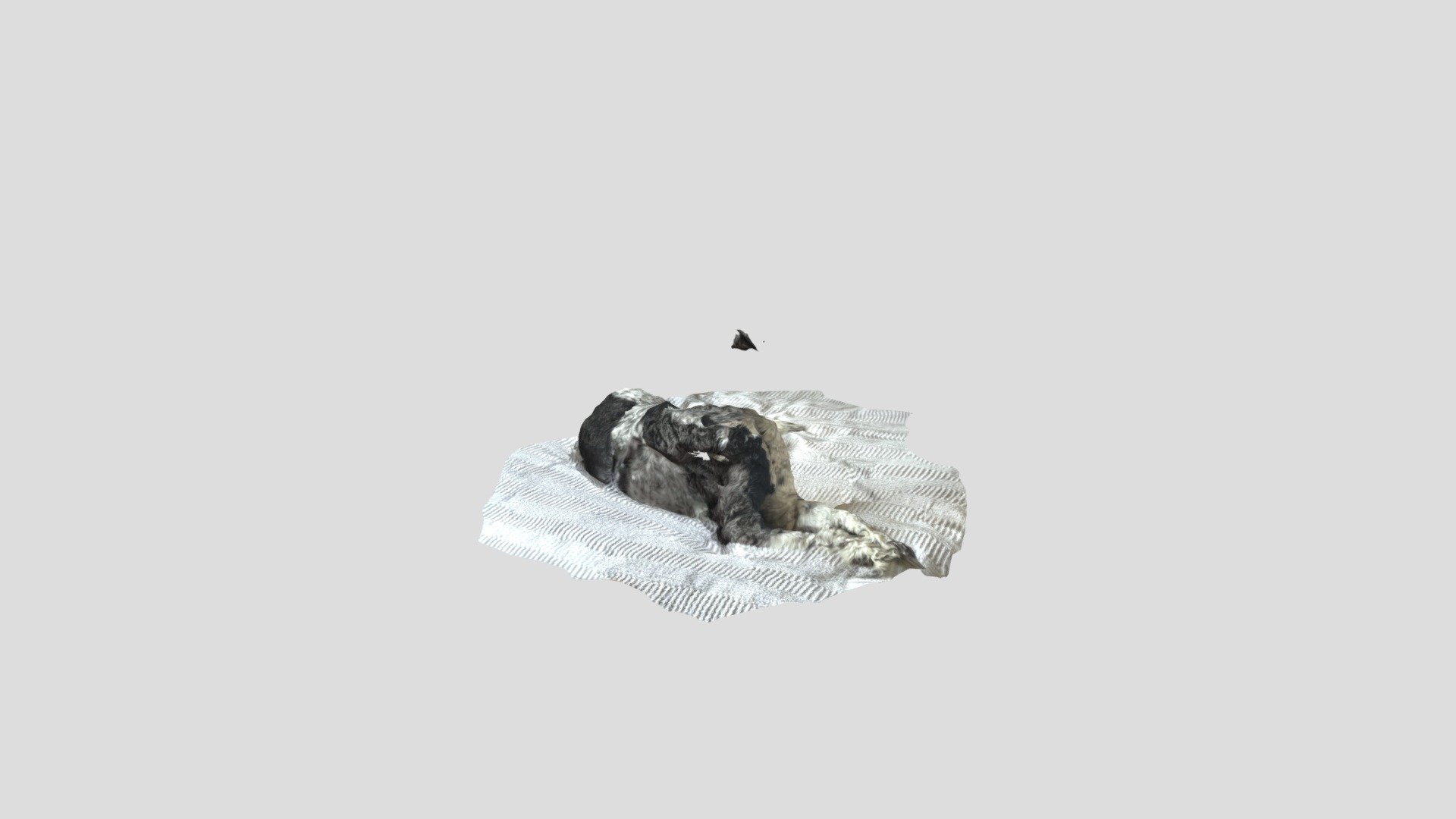 Headless Dog Model - Download Free 3D model by shwoo [6bf9c3e] - Sketchfab